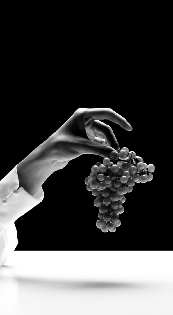 Ferrari Trento è "Sustainable Wine Producer of the Year" ai Global ...